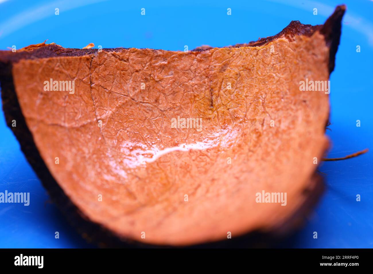 Empty Husk Of Dry Coconut Stock Photo - Alamy