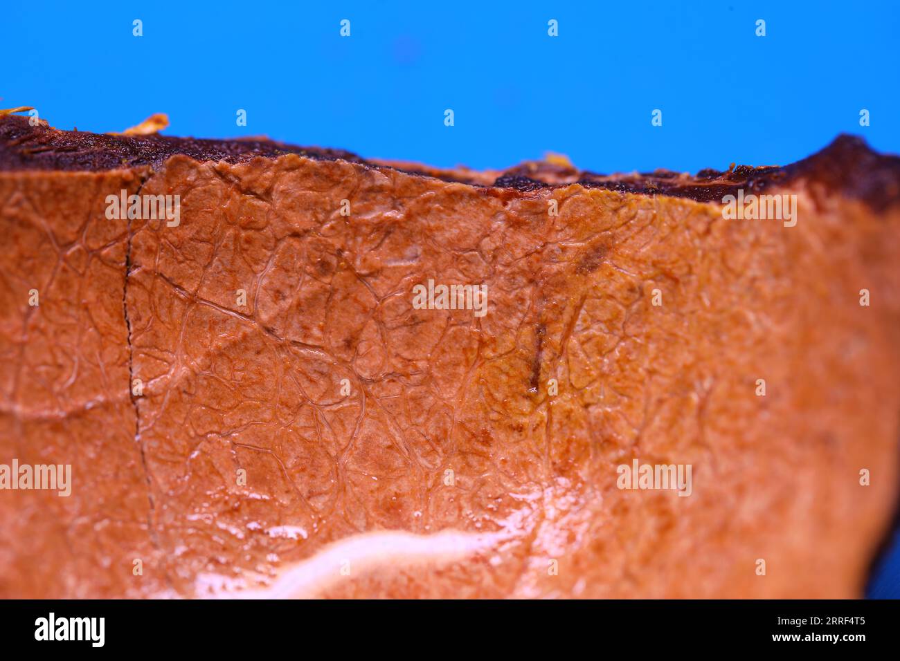 Empty Husk Of Dry Coconut Stock Photo - Alamy