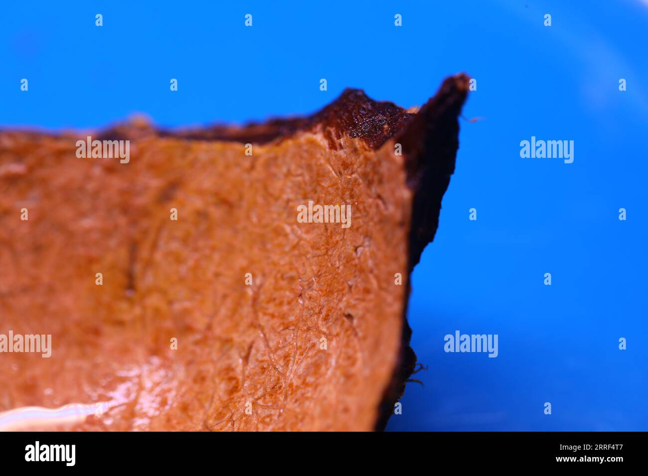 Empty Husk Of Dry Coconut Stock Photo - Alamy