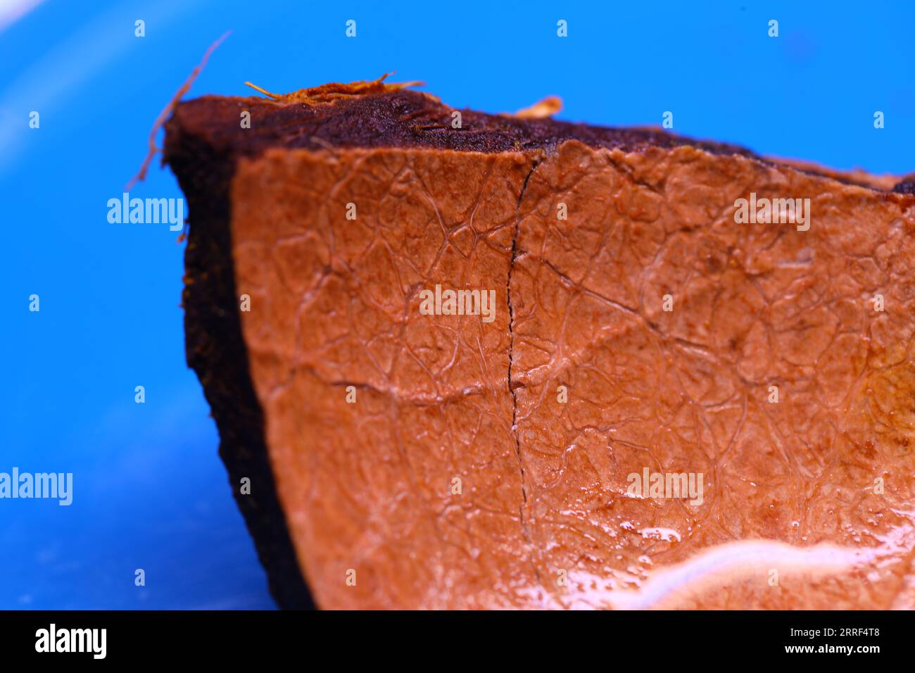 Empty Husk Of Dry Coconut Stock Photo - Alamy