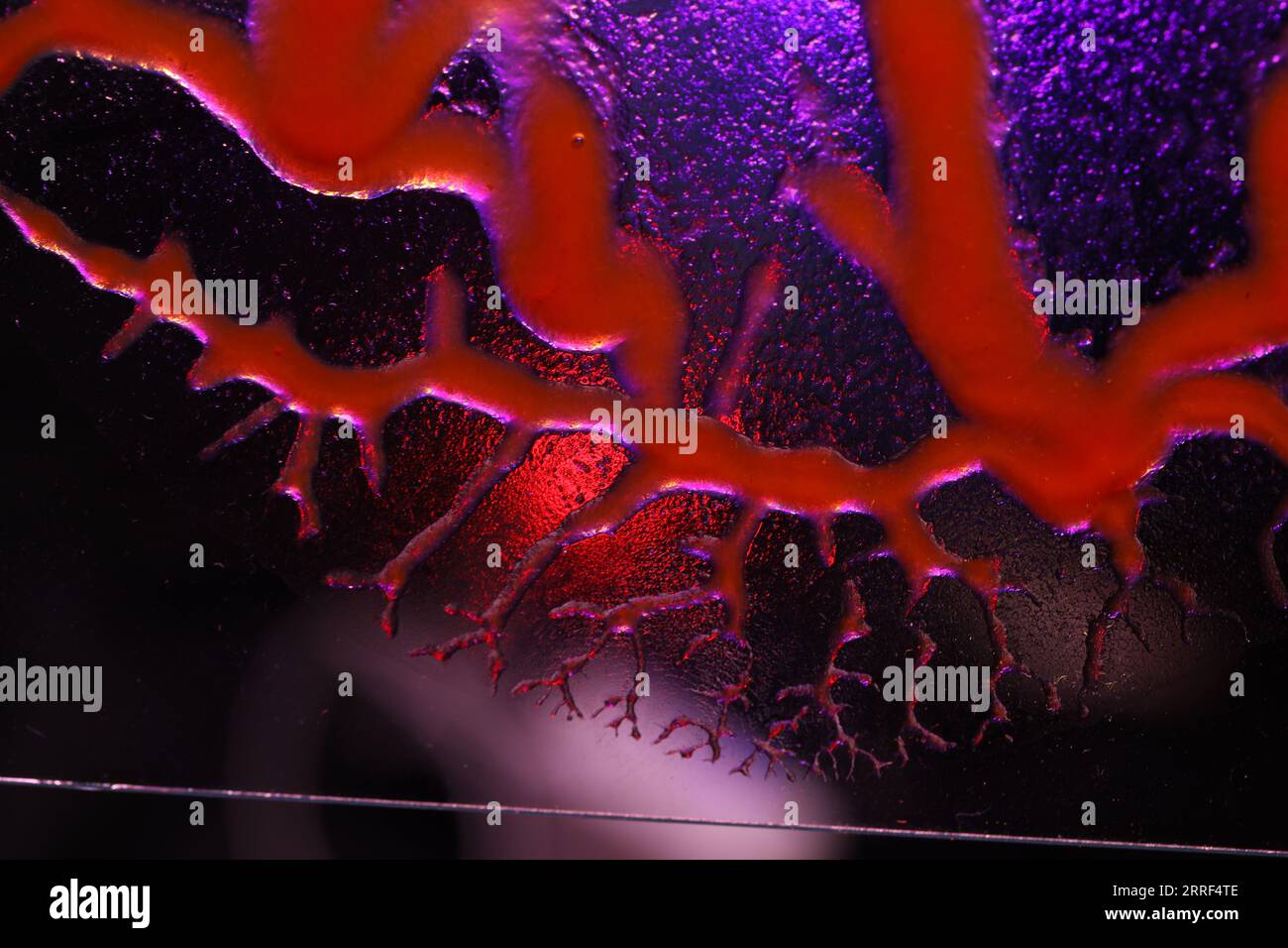 Amoeba movement hi-res stock photography and images - Alamy