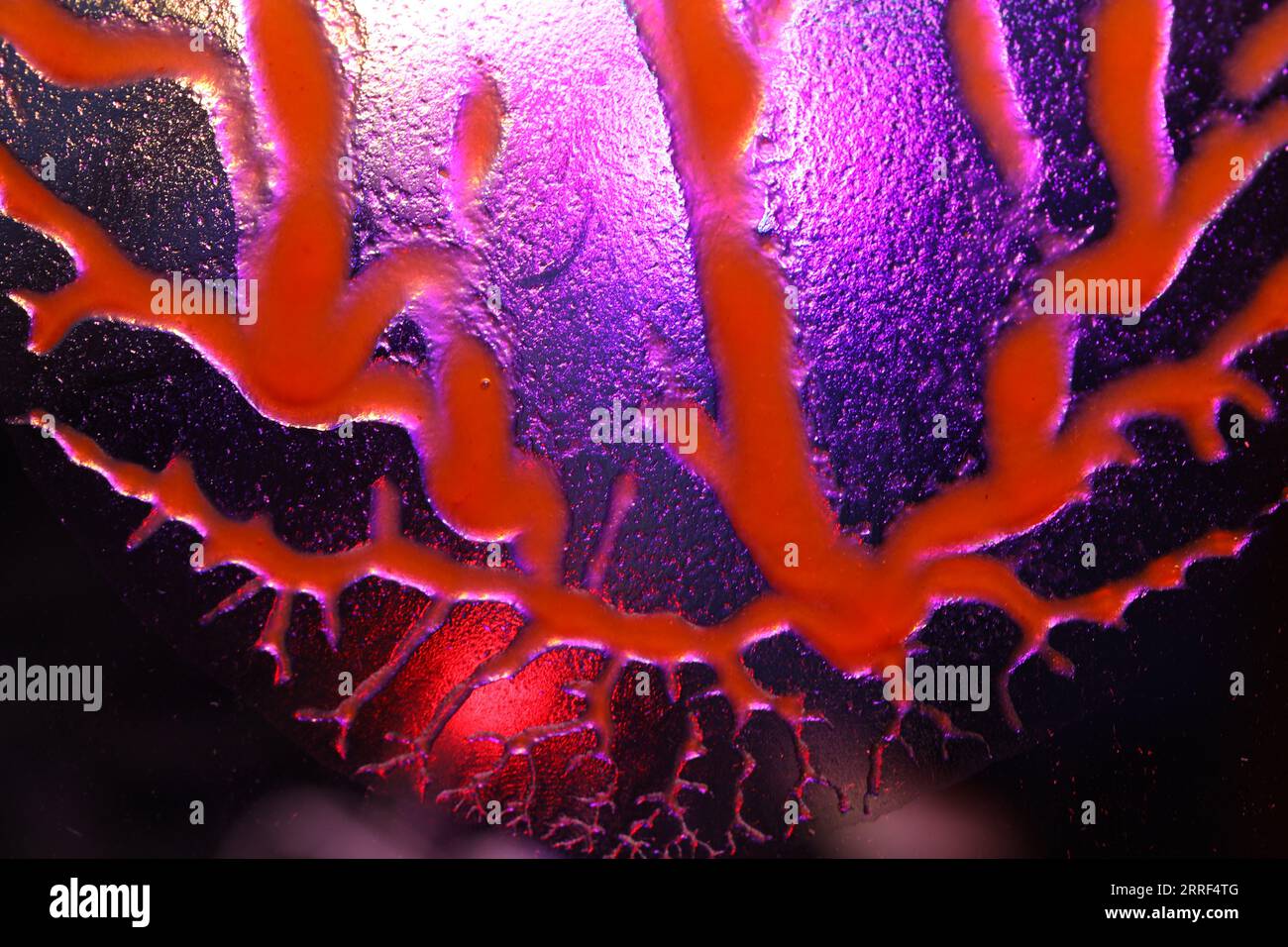 Movement Of Blood Through The Blood Vessels Stock Photo - Alamy