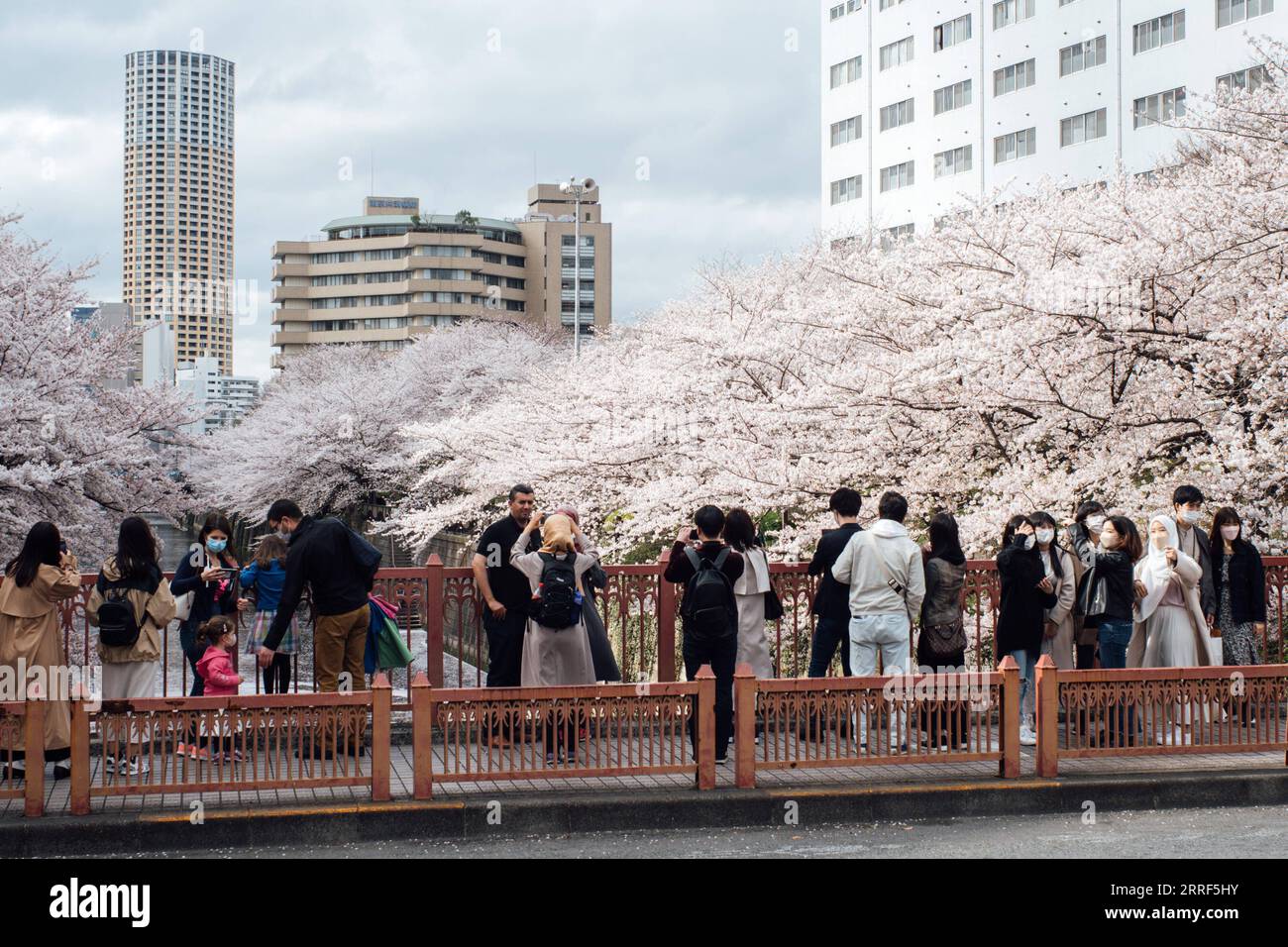 Tokyo japan march 30 2022 hi-res stock photography and images - Alamy