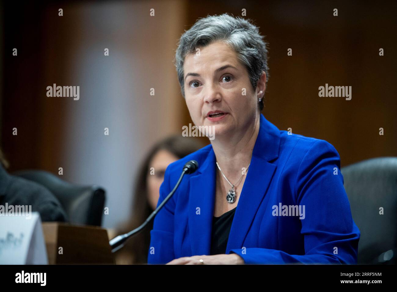 Anna b puglisi hi-res stock photography and images - Alamy