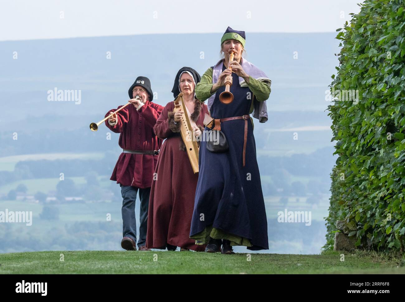 Playing the harp date hi-res stock photography and images - Alamy