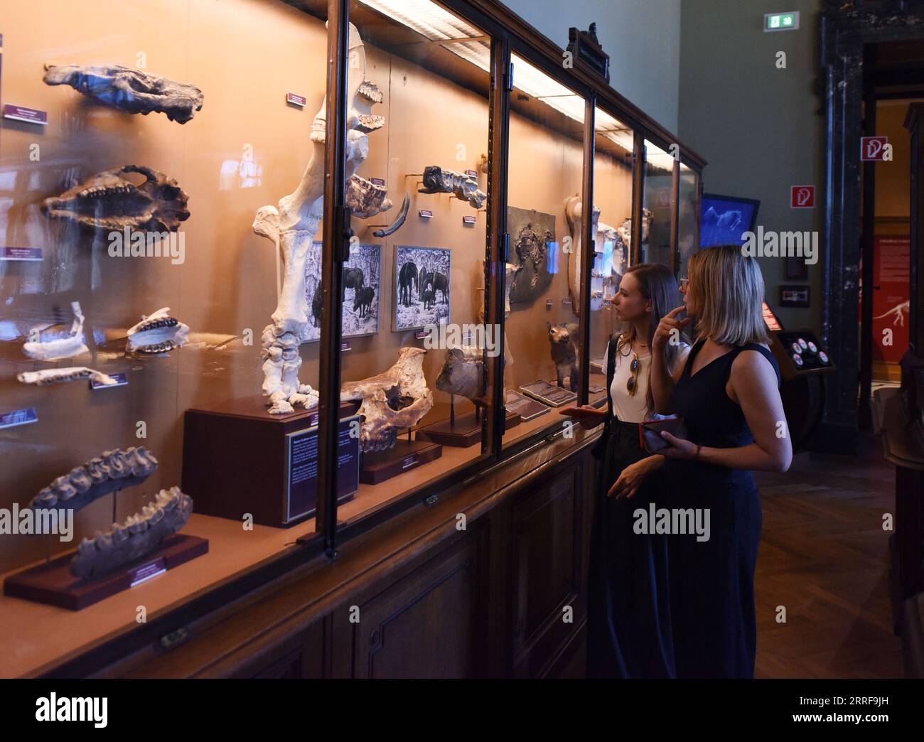 Vienna, Austria. 7th Sep, 2023. Visitors watch exhibits at the Natural ...