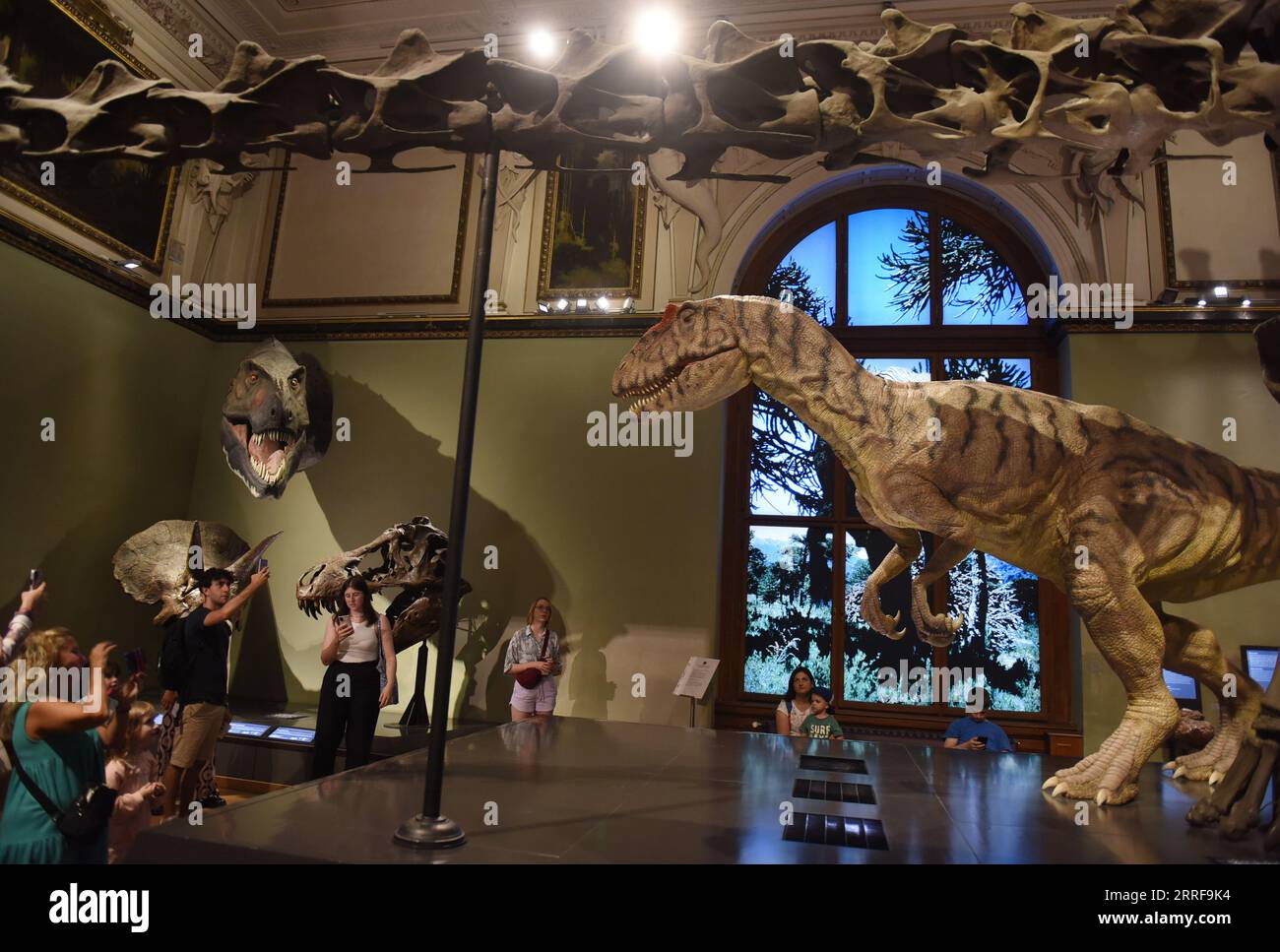 Vienna, Austria. 7th Sep, 2023. Visitors watch exhibits at the Natural ...