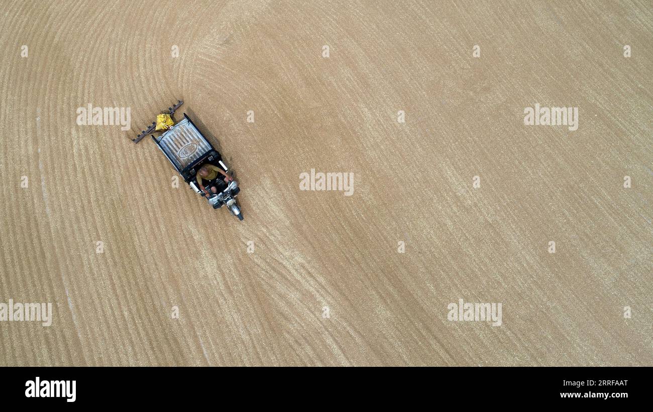 Farmers are drying wheat, aerial photos Stock Photo - Alamy