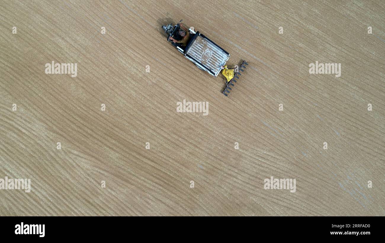 Drying wheat hi-res stock photography and images - Alamy