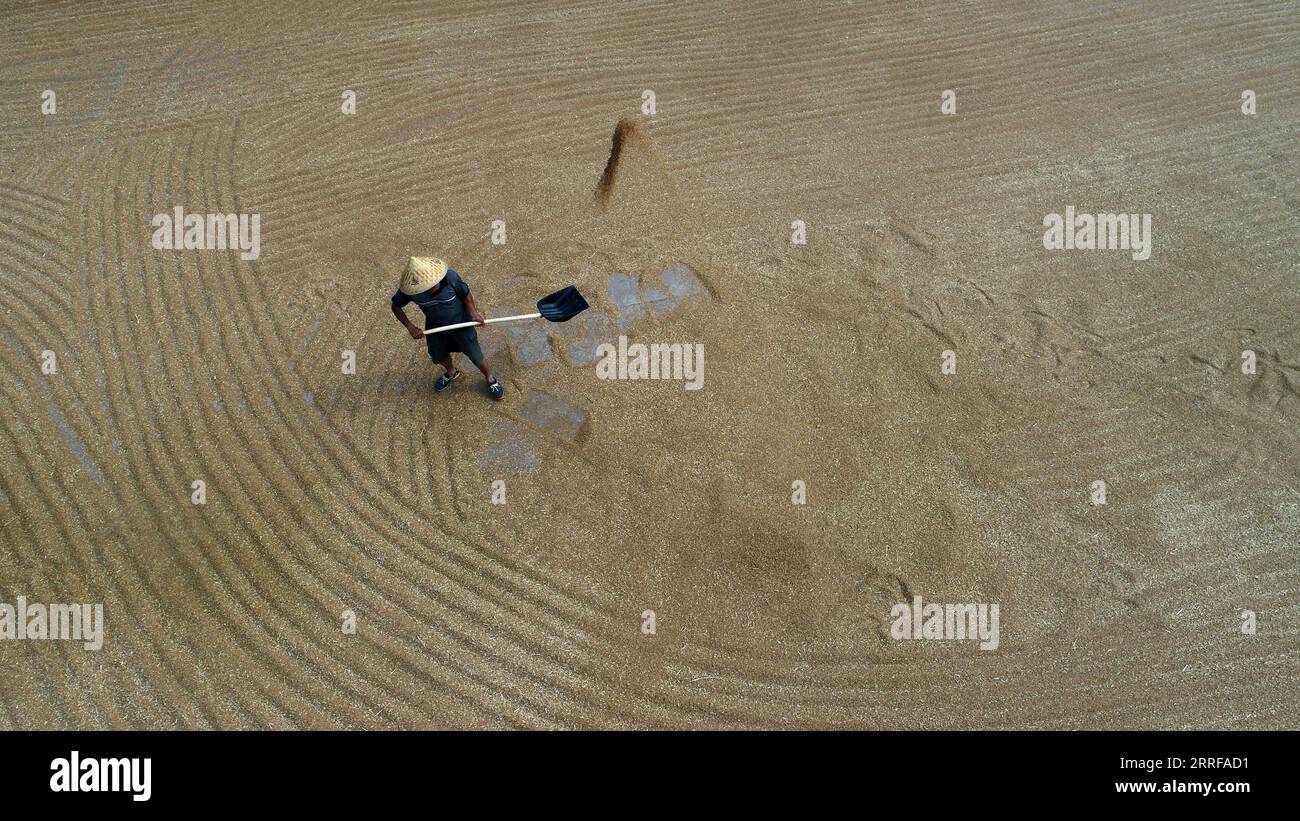 Farmers are drying wheat, aerial photos Stock Photo - Alamy
