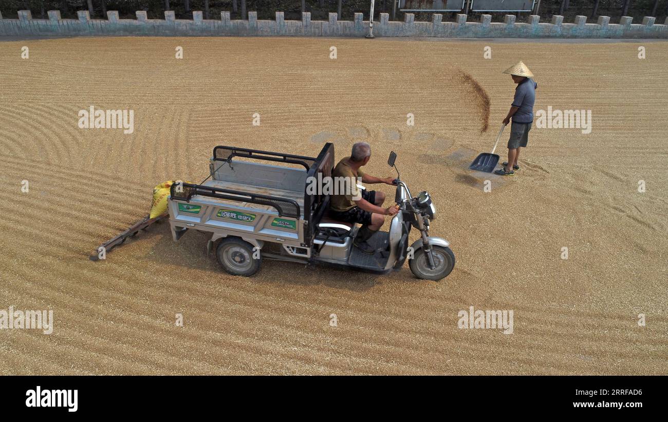 Farmers are drying wheat, aerial photos Stock Photo - Alamy