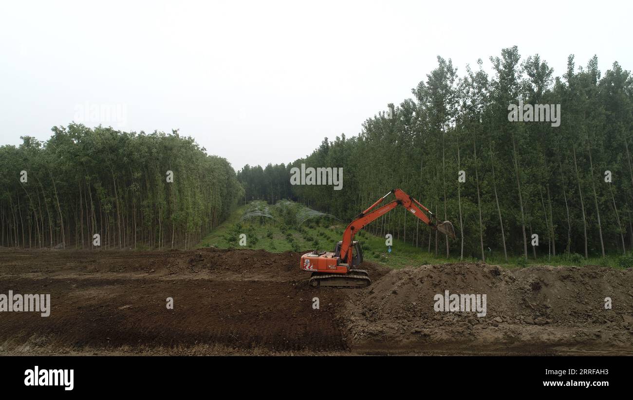 Excavator in construction of water conservancy project, North China ...