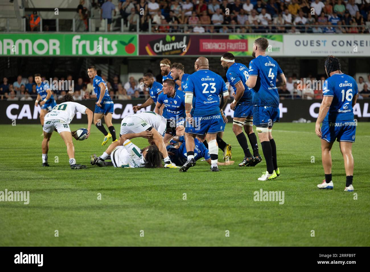 Montauban rugby hi-res stock photography and images - Alamy