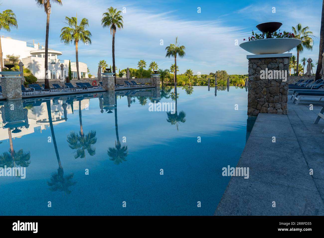 Swimming Pool with Palm Trees Stock Photo - Alamy