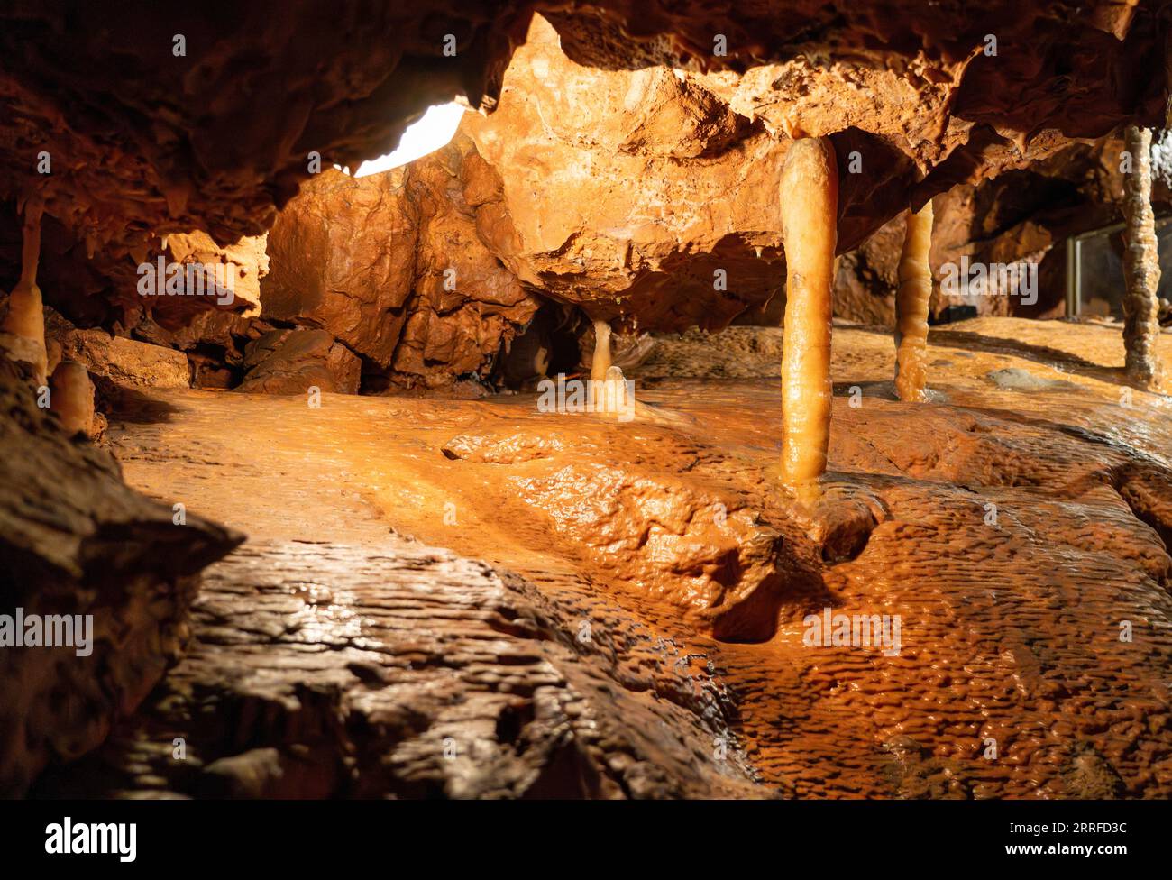 Inside Kents Cavern Prehistoric Caves near Torquay Stock Photo - Alamy