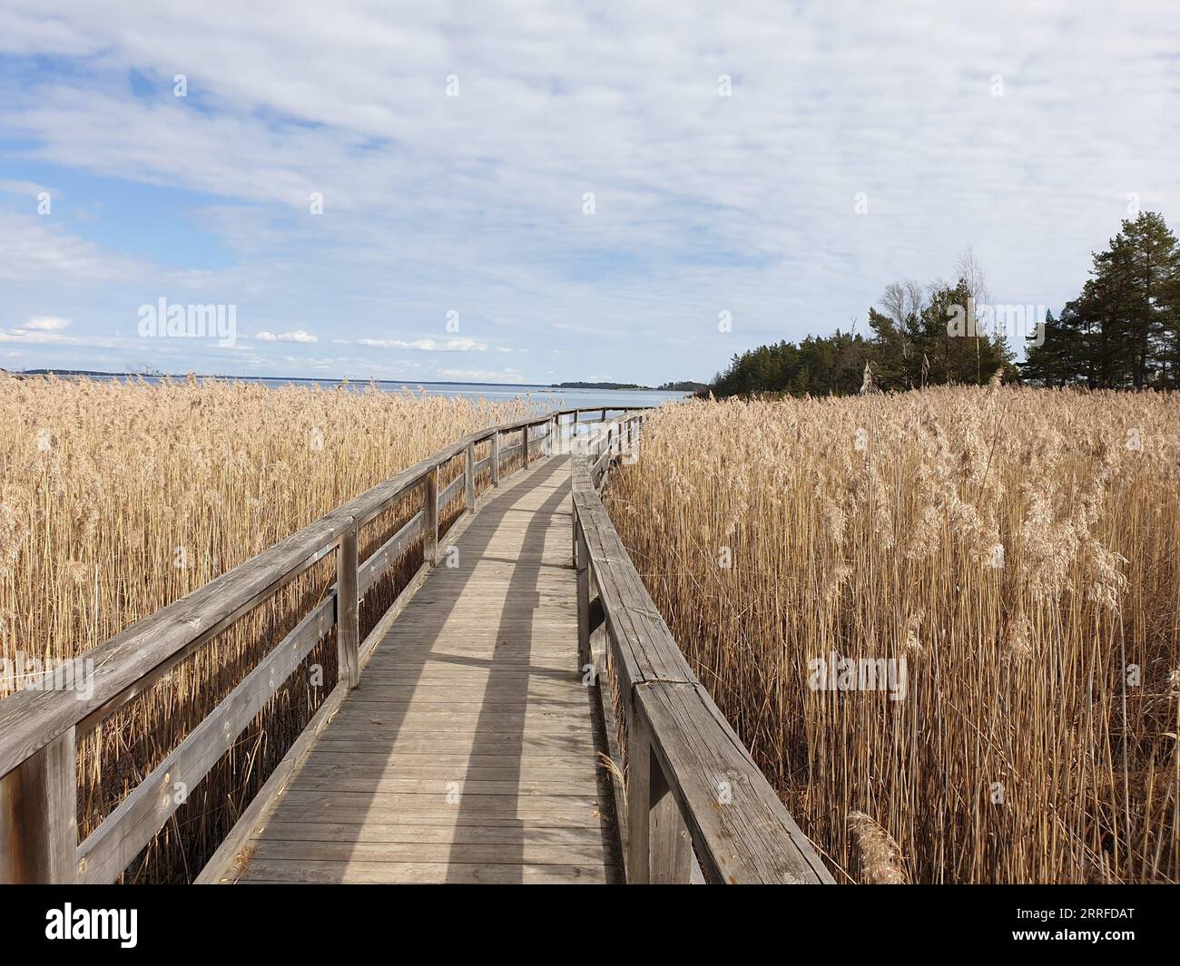 Wooden boardwalk stretching across hi-res stock photography and images ...