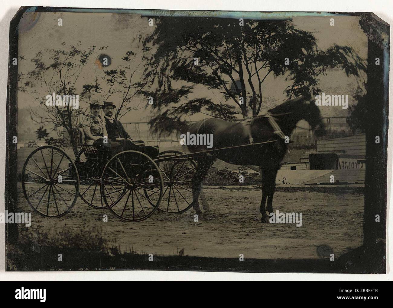 Man and woman in a carriage with a horse in front, US, 1860, Ferrotype ...