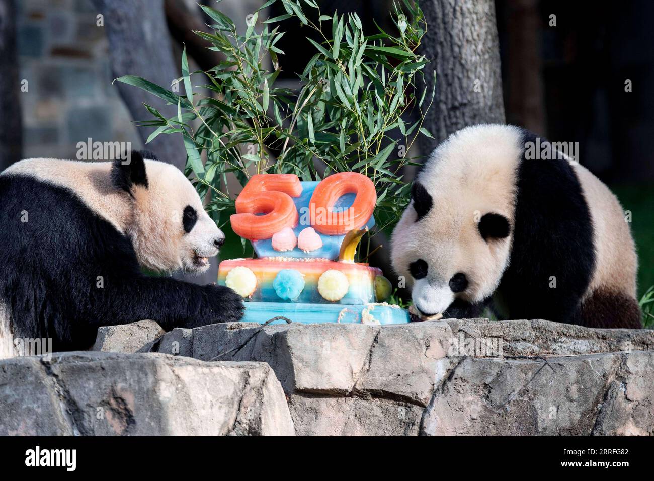 Zhou enlai nixon hi-res stock photography and images - Alamy