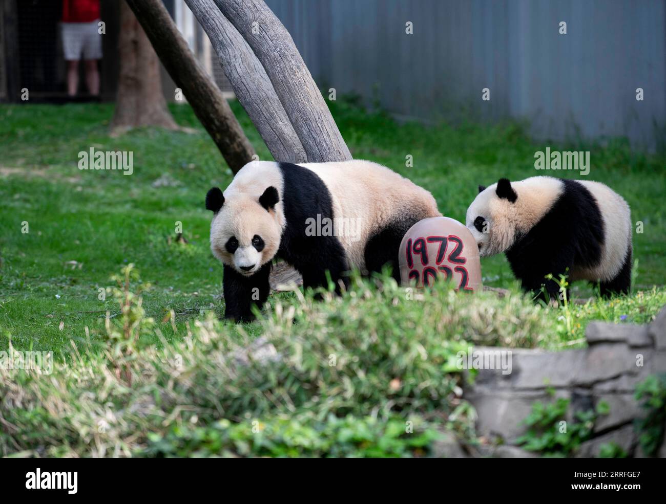 220417 -- WASHINGTON, D.C., April 17, 2022 -- Photo taken on April 16 ...