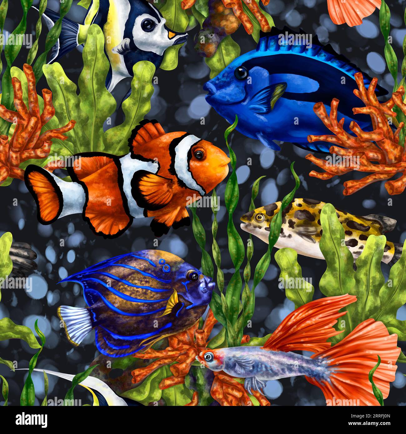 Colorful sea fish in the ocean. Tropical waterfowl among green algae ...