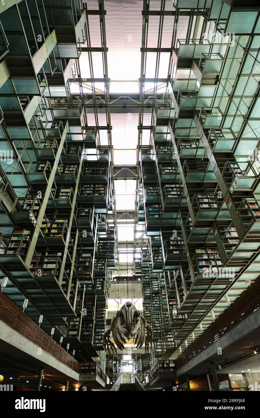 220419 -- MEXICO CITY, April 19, 2022 -- Photo taken on April 18, 2022 ...