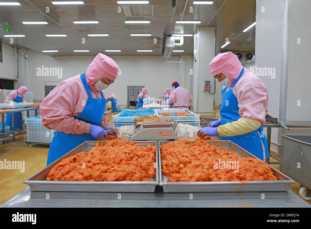 China chicken processing plant hi-res stock photography and images - Alamy