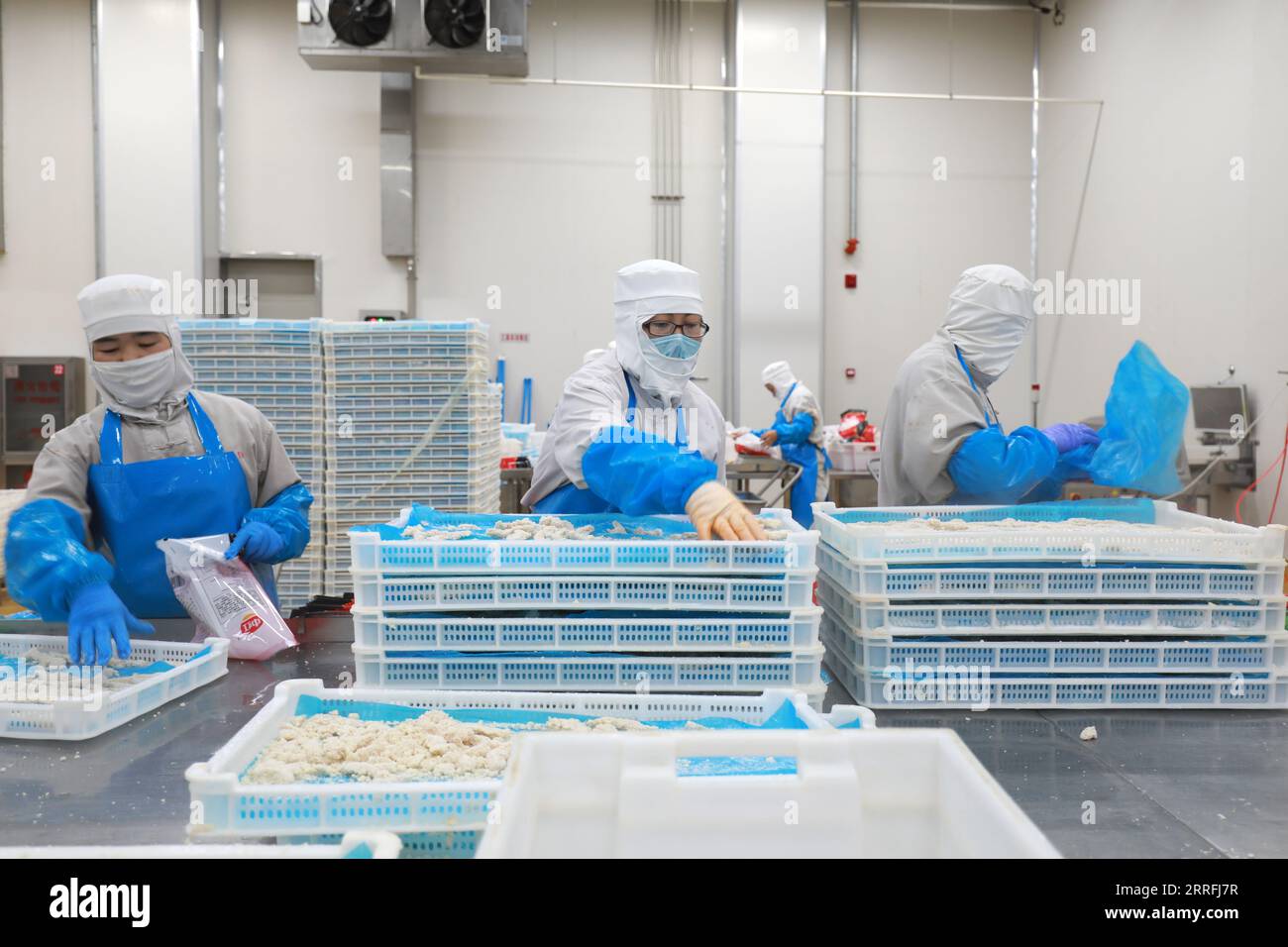 China chicken processing plant hi-res stock photography and images - Alamy