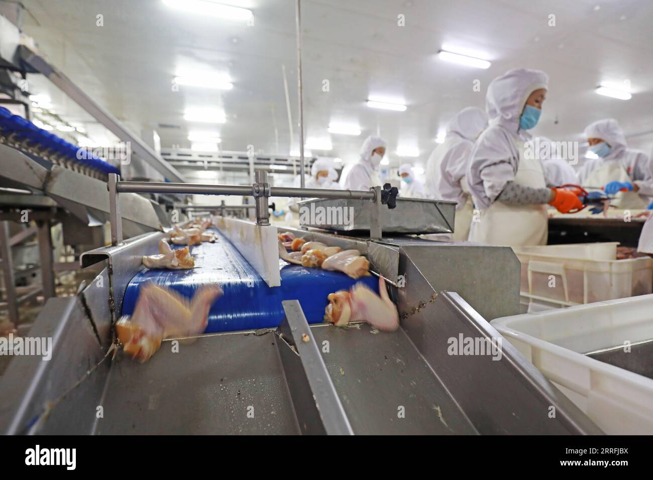 China chicken processing plant hi-res stock photography and images - Alamy