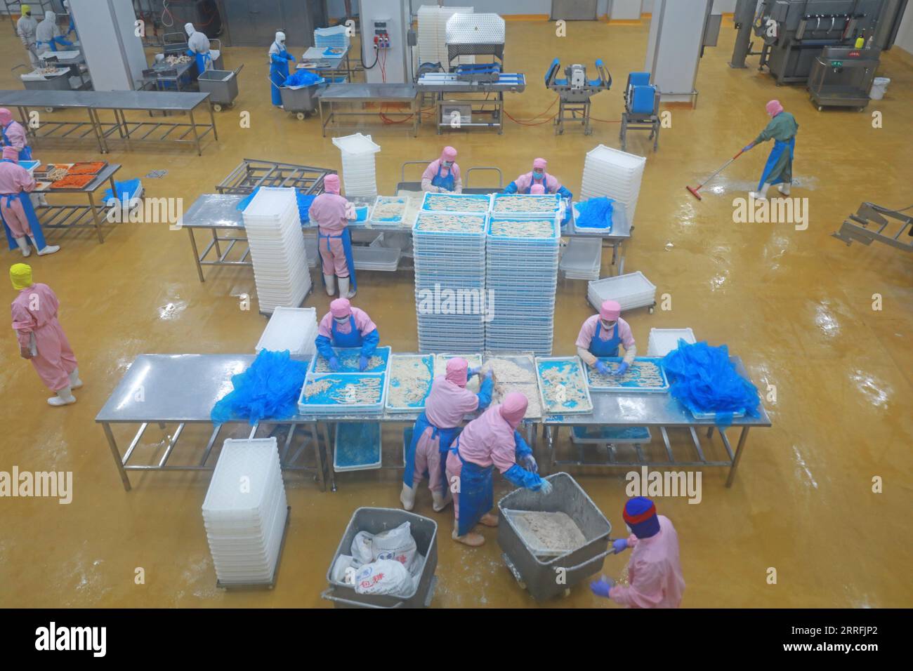 Chicken processing plant hi-res stock photography and images - Alamy