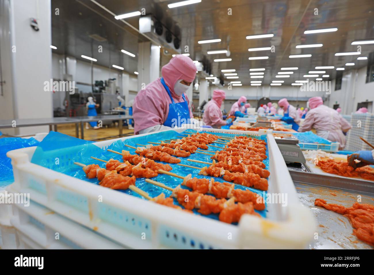China chicken processing plant hi-res stock photography and images - Alamy