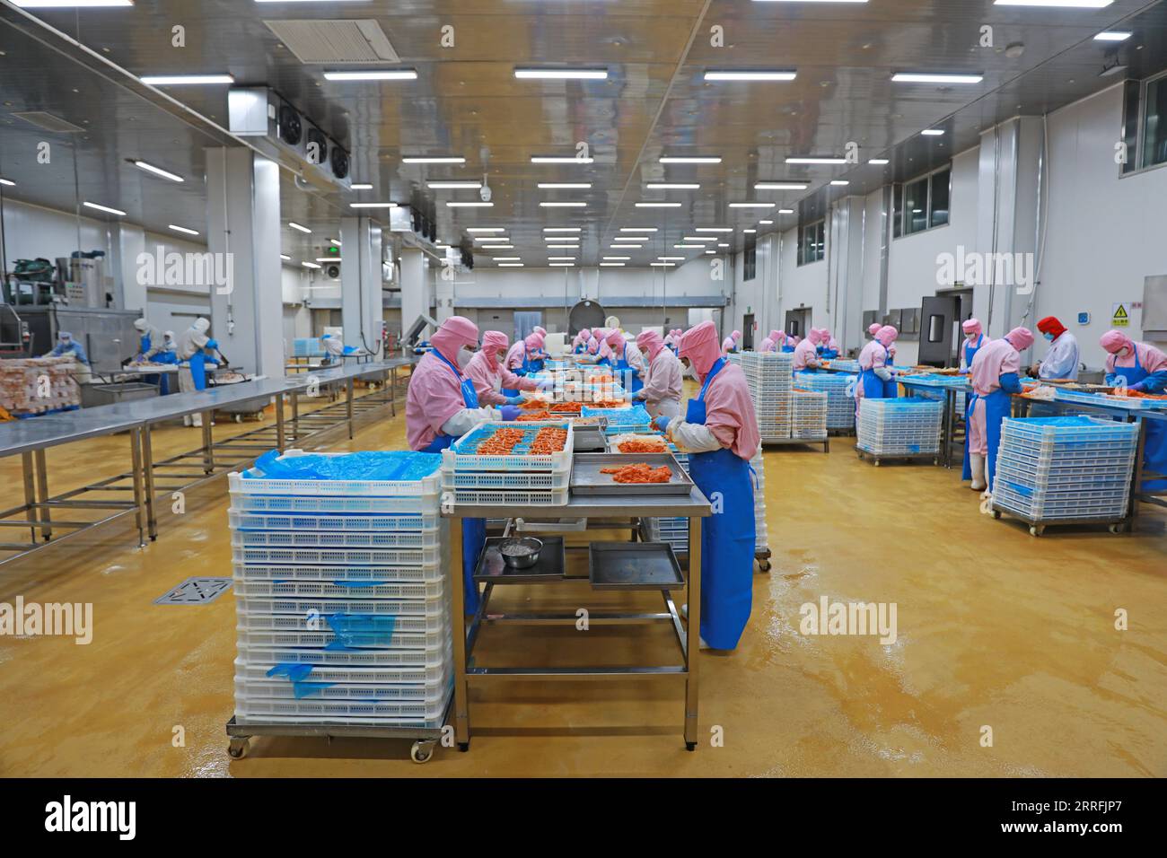 China chicken processing plant hi-res stock photography and images - Alamy