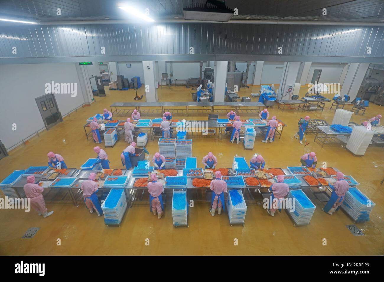 Workers are busy in the chicken segmentation workshop in a food ...