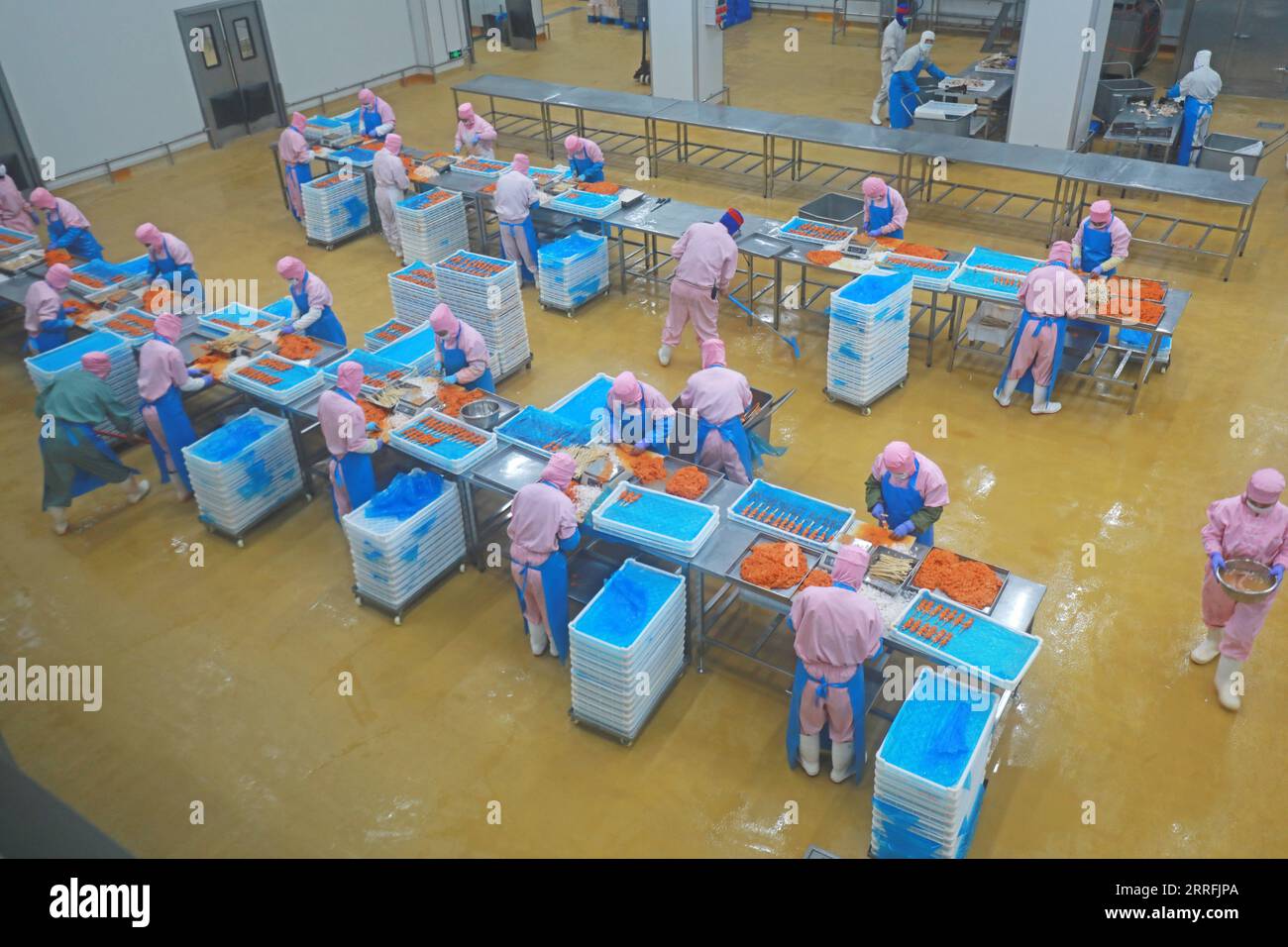 Workers are busy in the chicken segmentation workshop in a food processing plant Stock Photo - Alamy