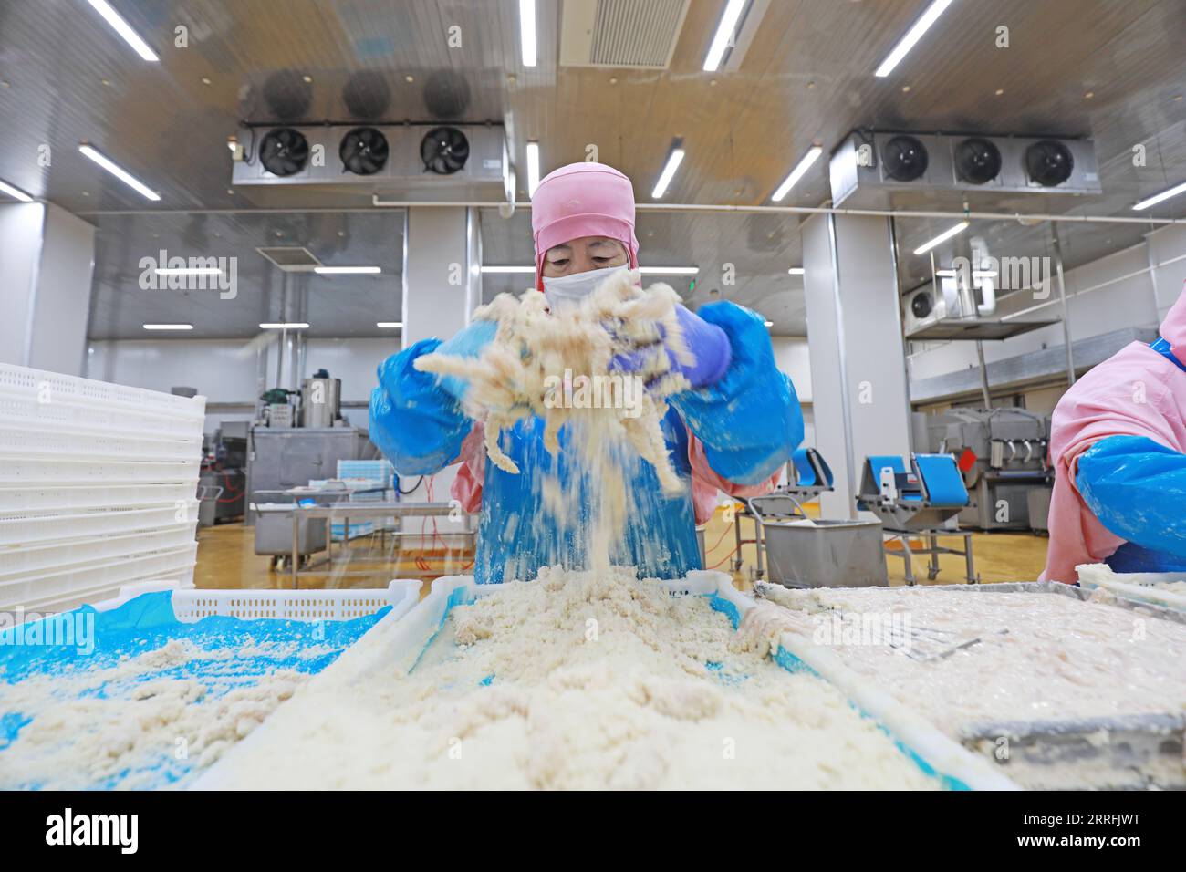 China chicken processing plant hi-res stock photography and images - Alamy