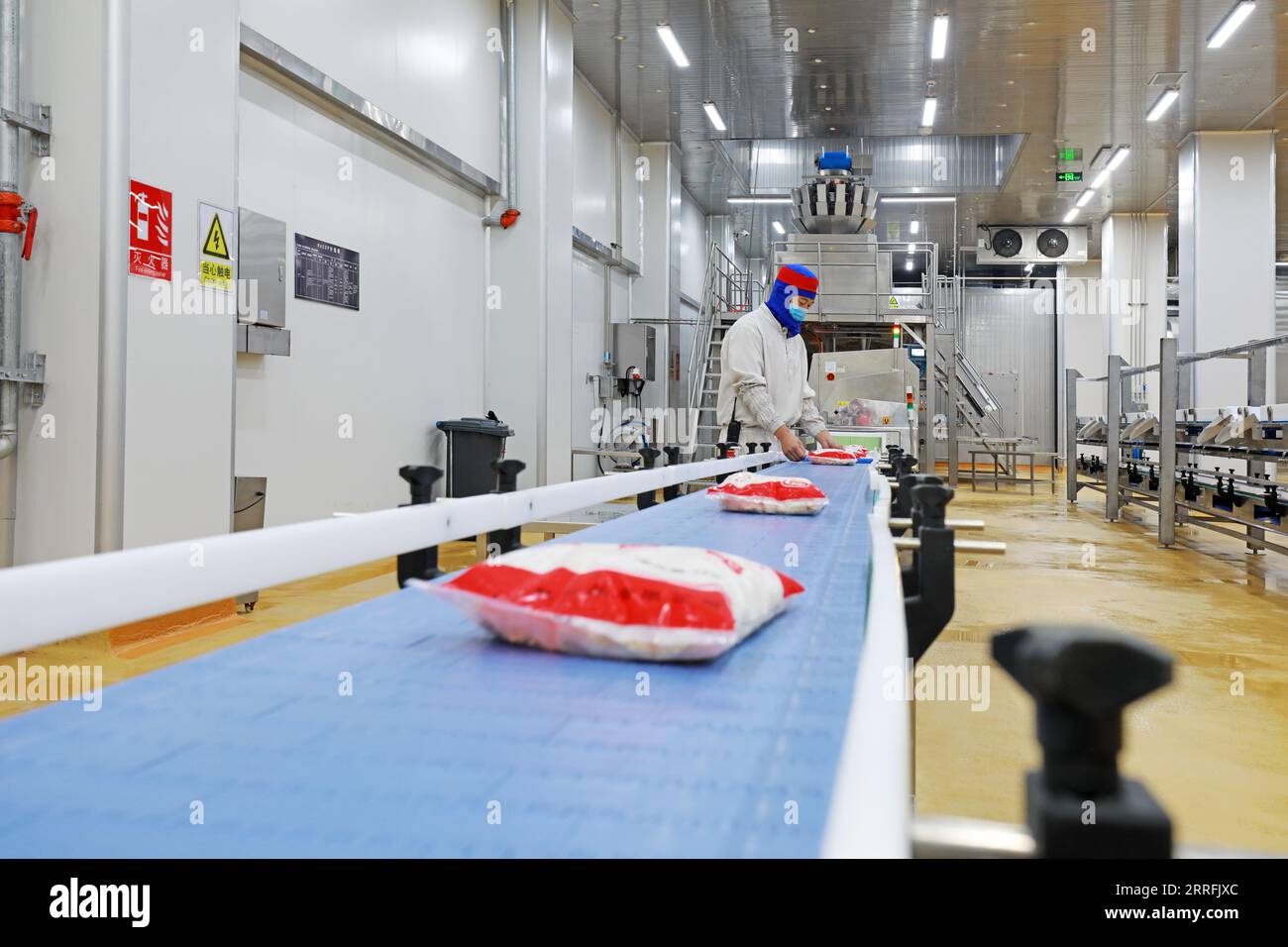 LUANNAN COUNTY, Hebei Province, China - July 28, 2020: Workers are busy ...