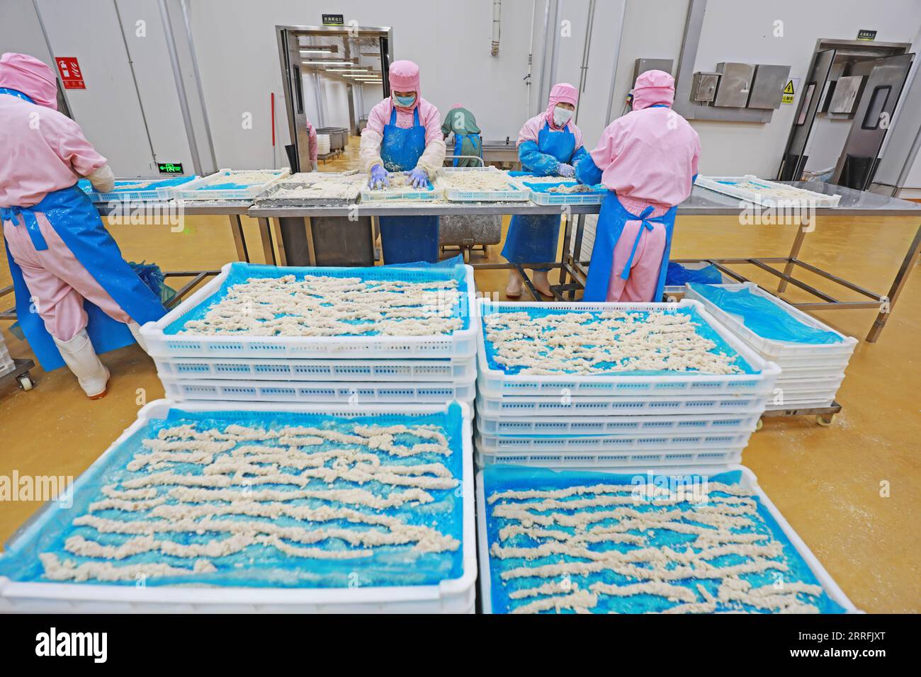 China chicken processing plant hi-res stock photography and images - Alamy