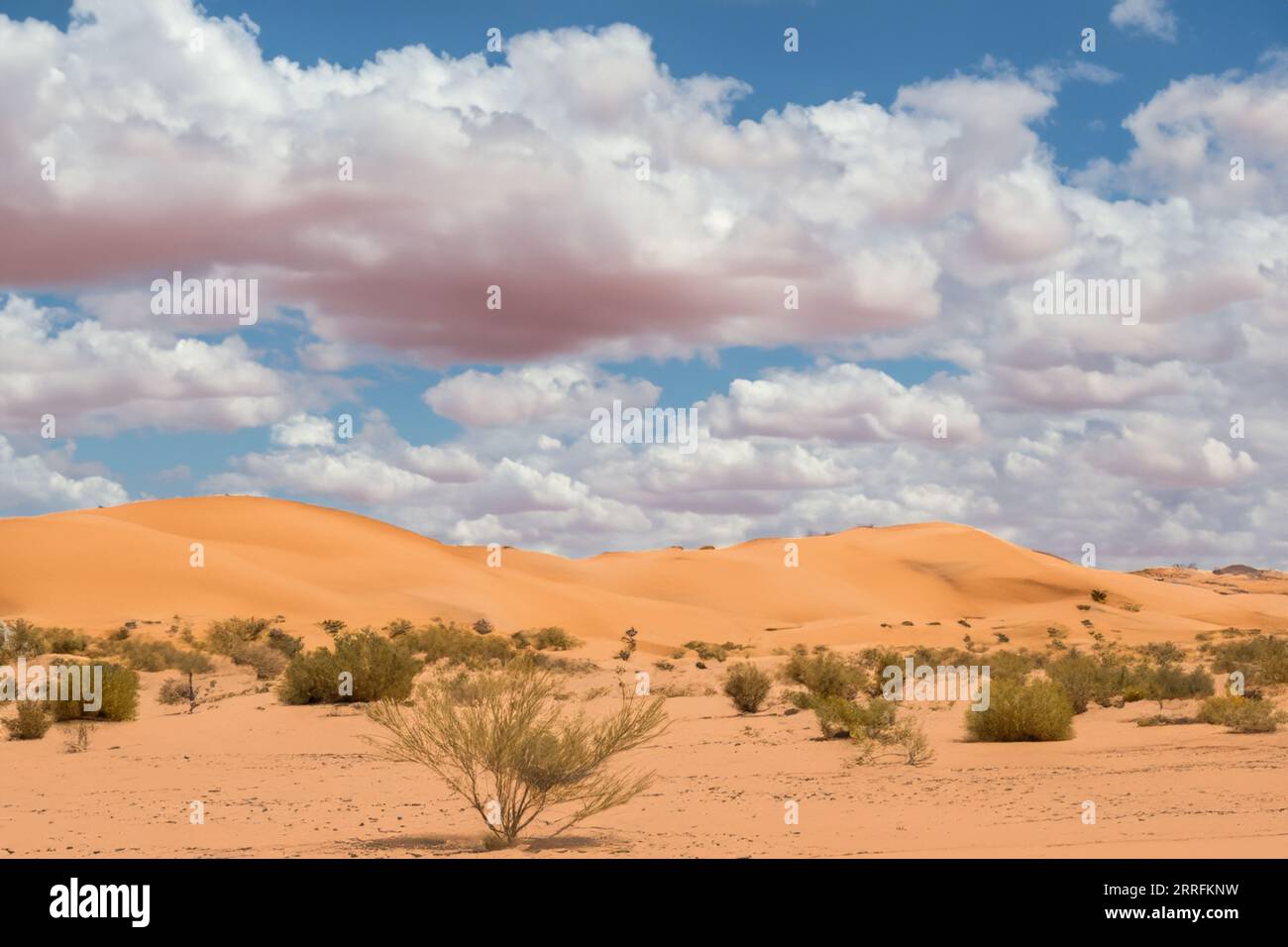 climate change desert landscape Stock Photo - Alamy