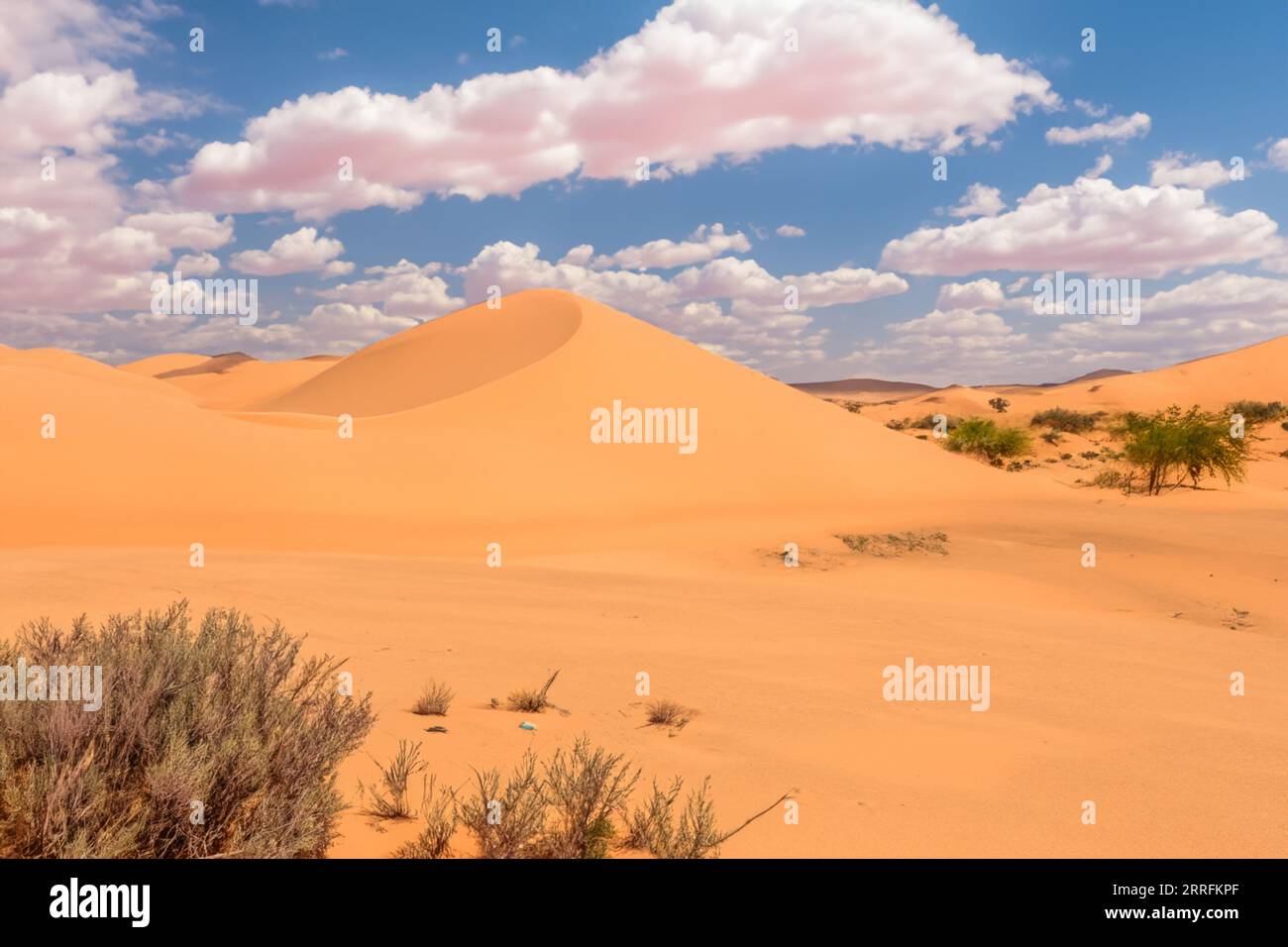 climate change desert landscape Stock Photo - Alamy