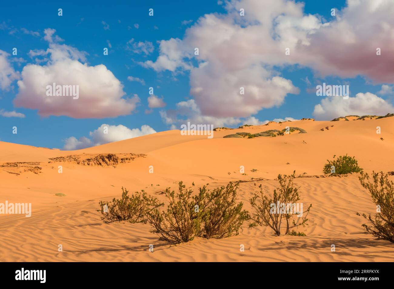 Arid desert climate hi-res stock photography and images - Alamy