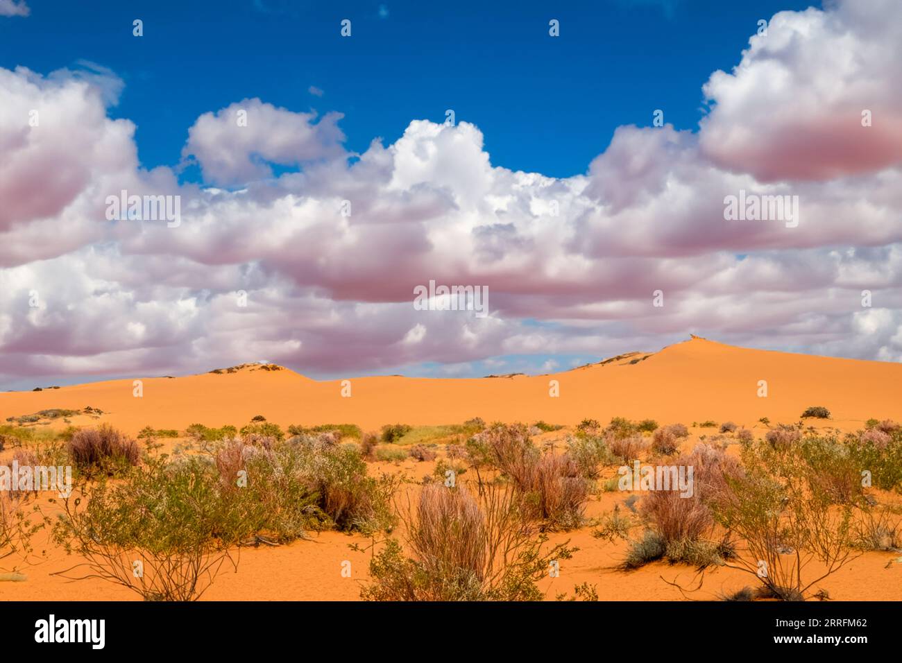 climate change desert landscape Stock Photo - Alamy