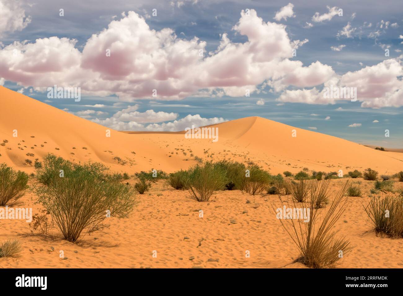 climate change desert landscape Stock Photo - Alamy