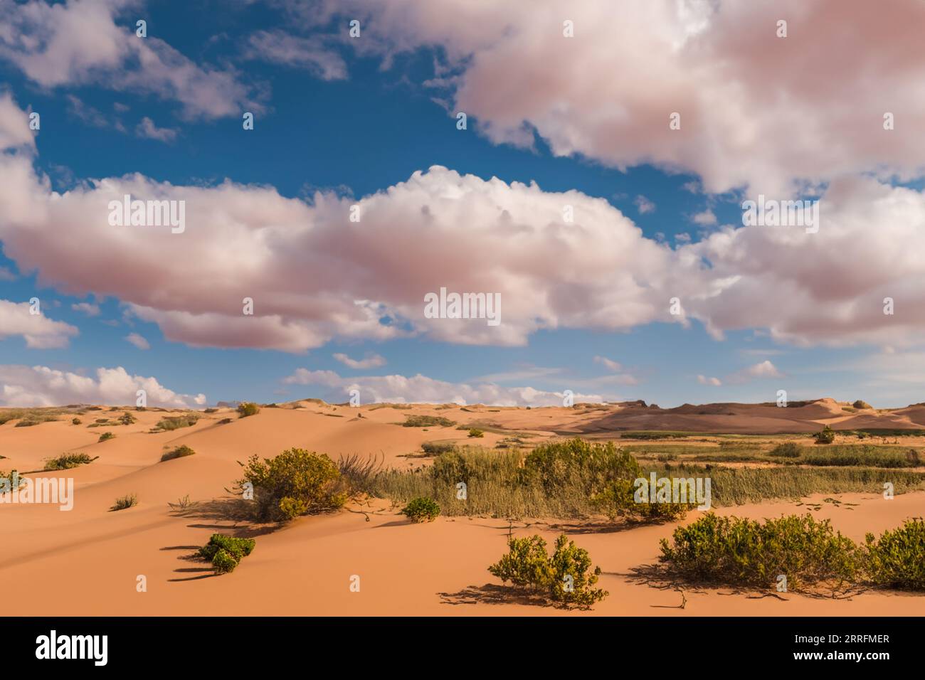 climate change desert landscape Stock Photo - Alamy