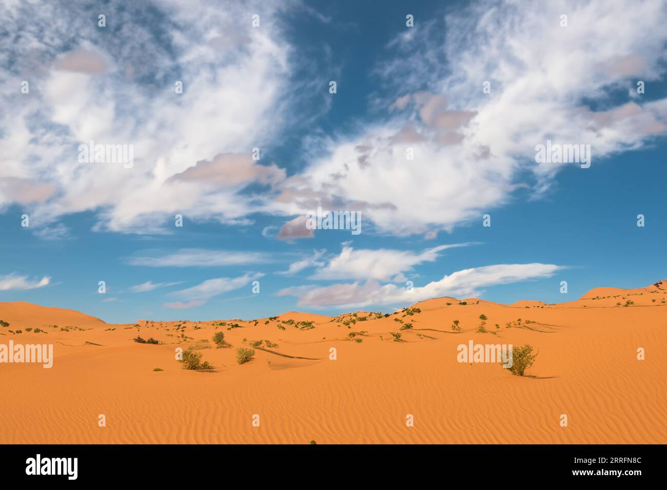 climate change desert landscape Stock Photo - Alamy