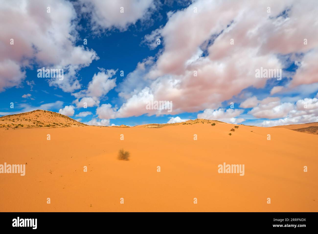 climate change desert landscape Stock Photo - Alamy