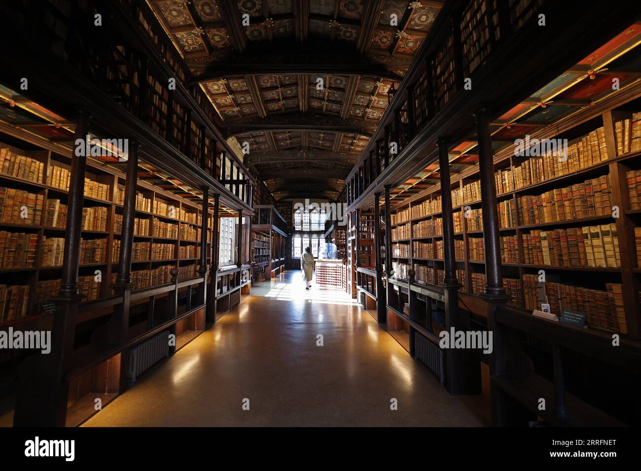 Duke humfrey library hi-res stock photography and images - Alamy