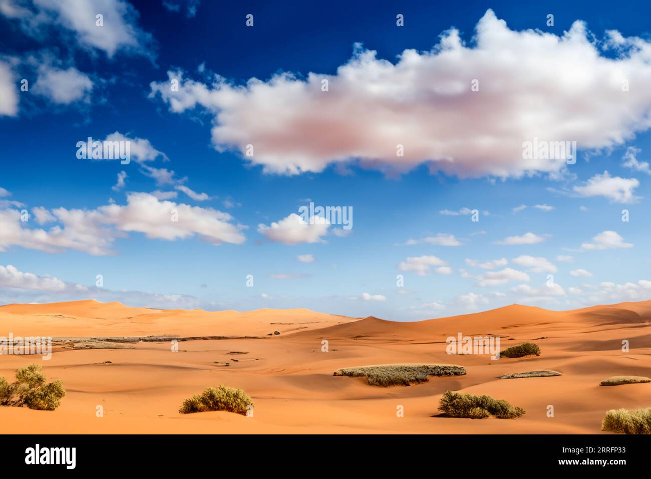 climate change desert landscape Stock Photo - Alamy