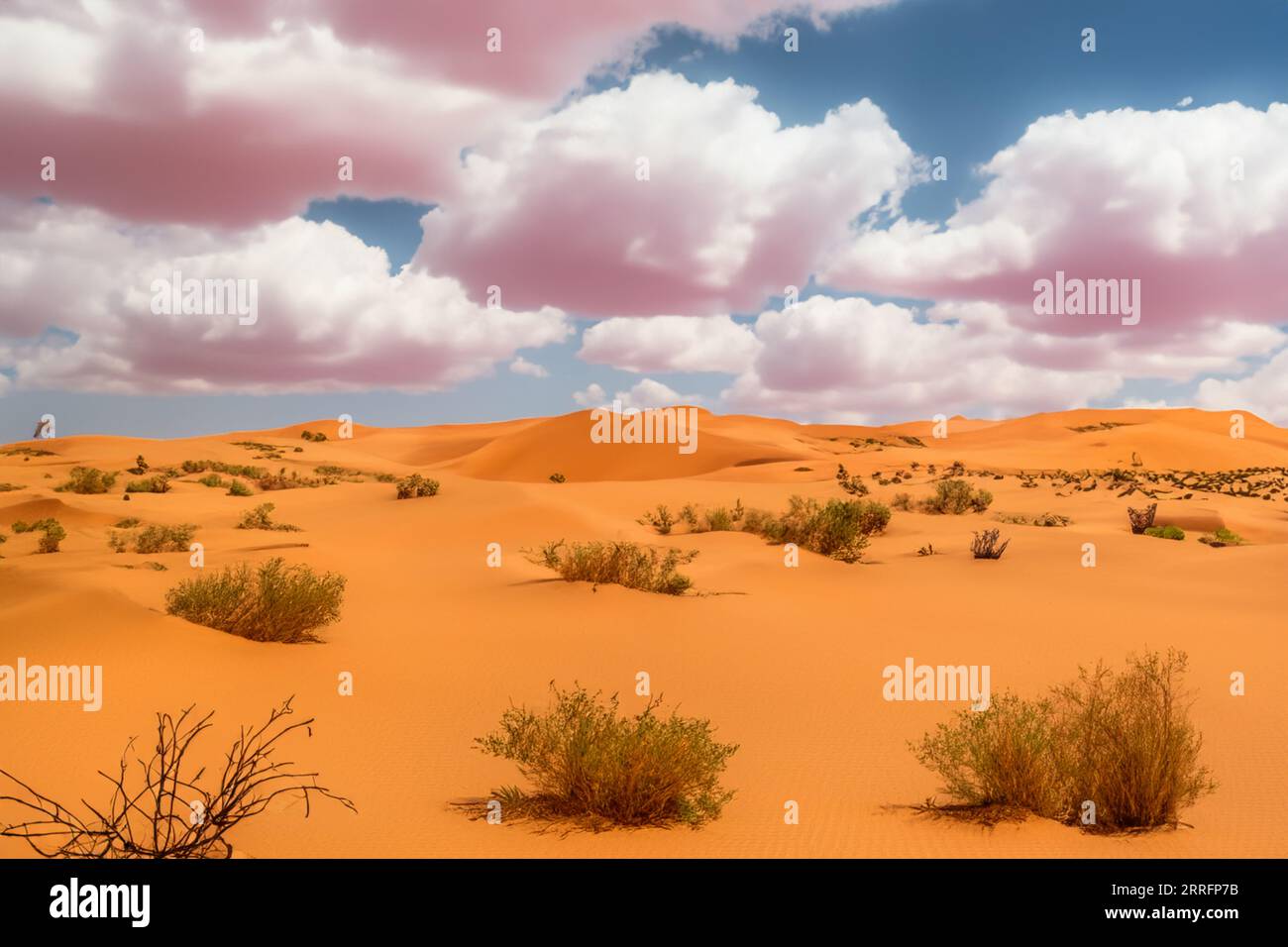 climate change desert landscape Stock Photo - Alamy