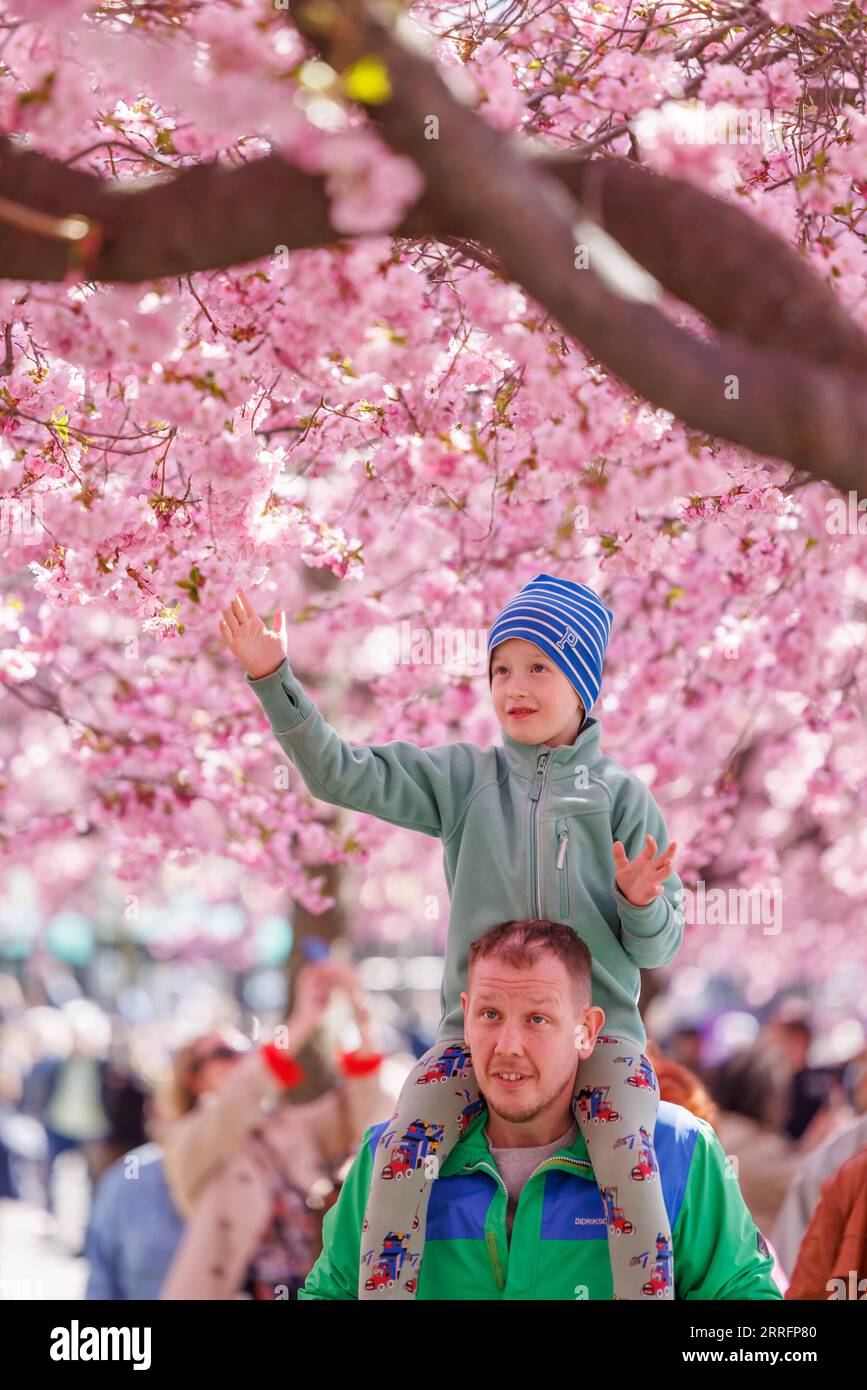 Sweden stockholm chery hi-res stock photography and images - Alamy