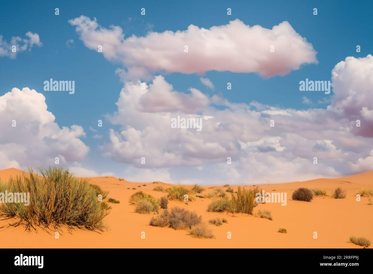 climate change desert landscape Stock Photo - Alamy