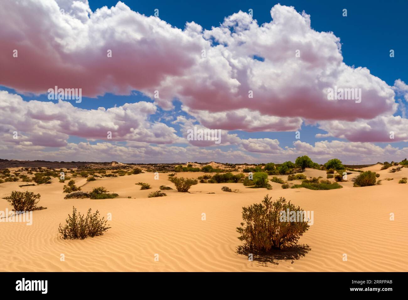climate change desert landscape Stock Photo - Alamy